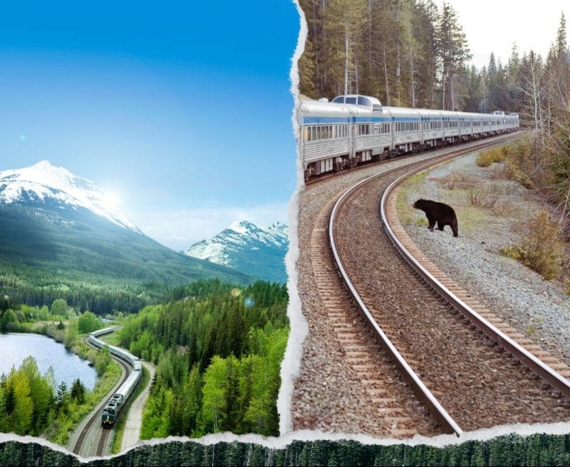 Discover Fresh Tracks Canada - Travel CourierTravel Courier