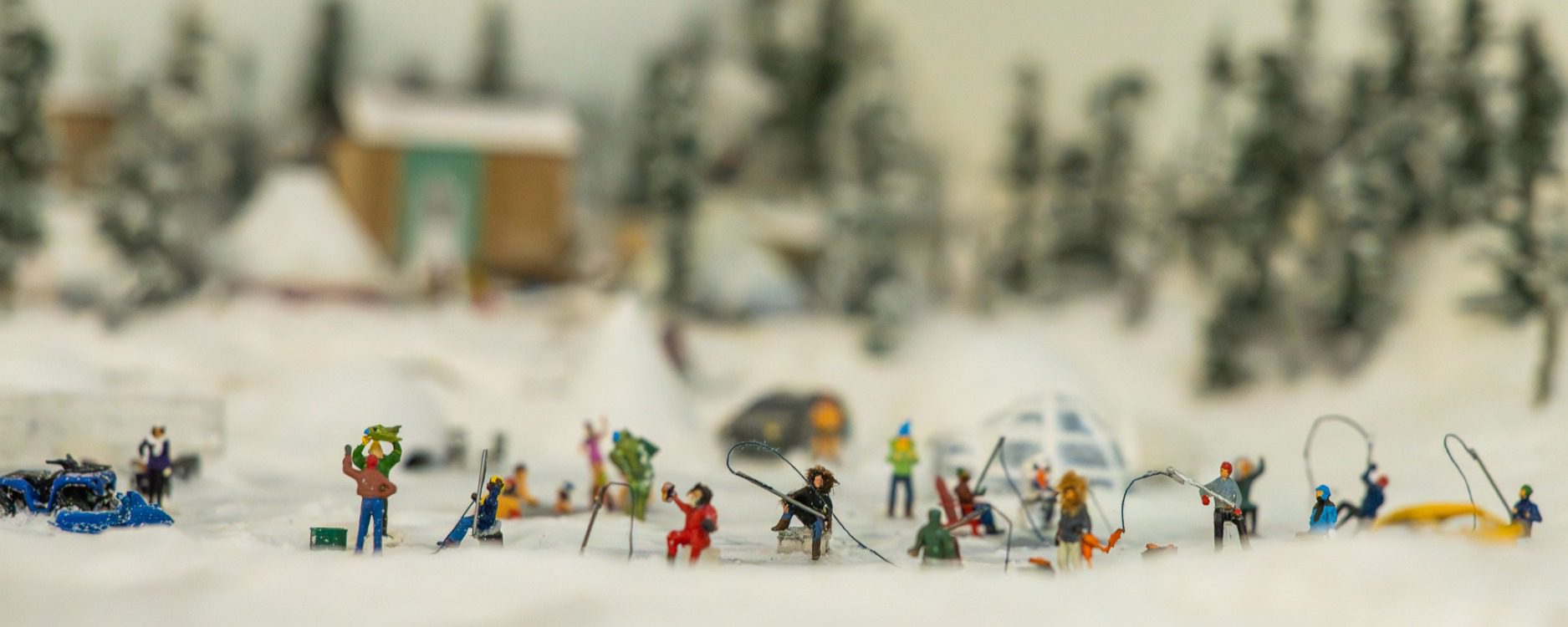 Little North brings Canada's Northern Territories to Toronto at Little ...